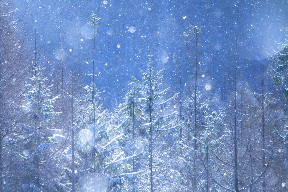 冬の詩～Winter poem～ | GANREF