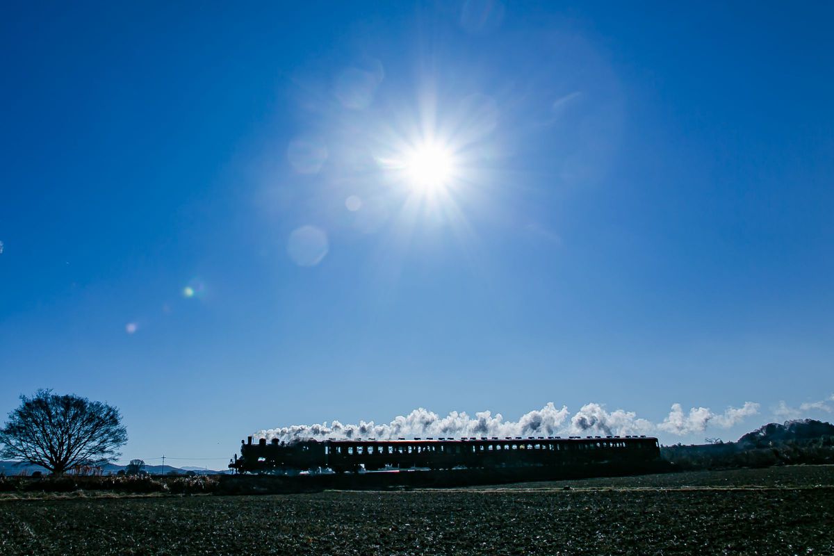 気分爽快♪ | GANREF