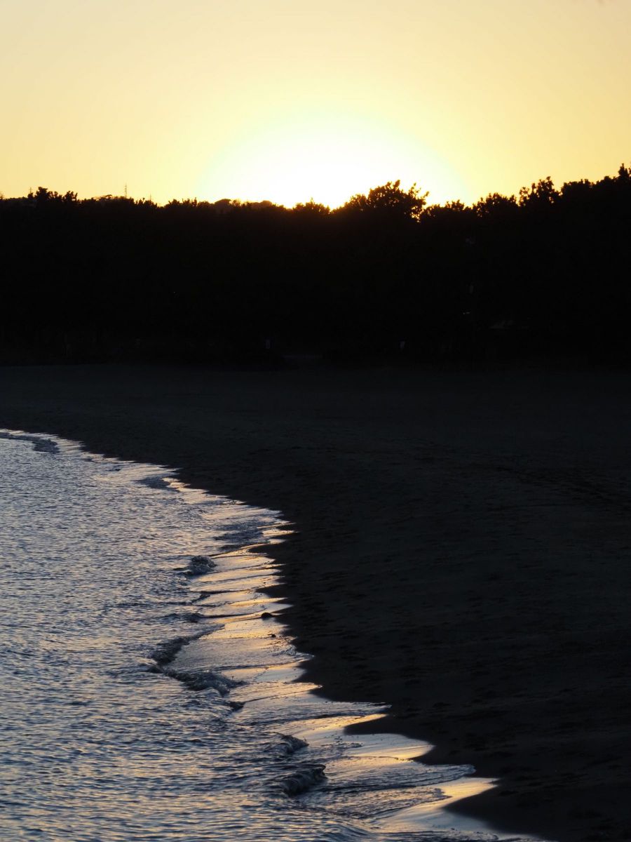 local resort | GANREF