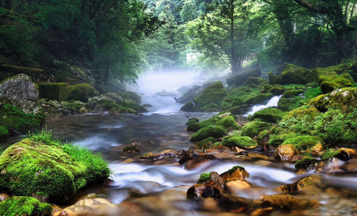 光芒の聖地 その5 | GANREF