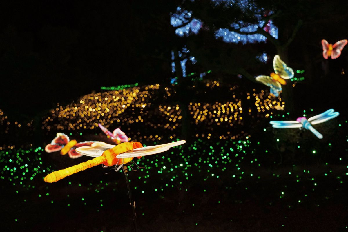 shining TOMBOW | GANREF