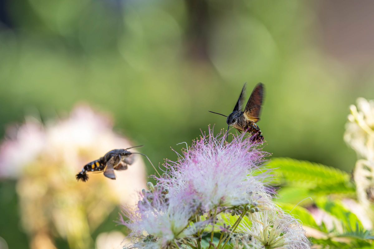 sense of distance from each other | GANREF