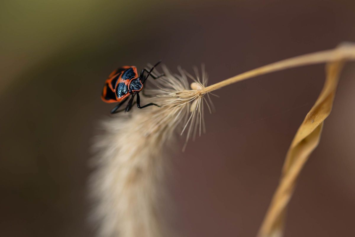 one day in autume | GANREF