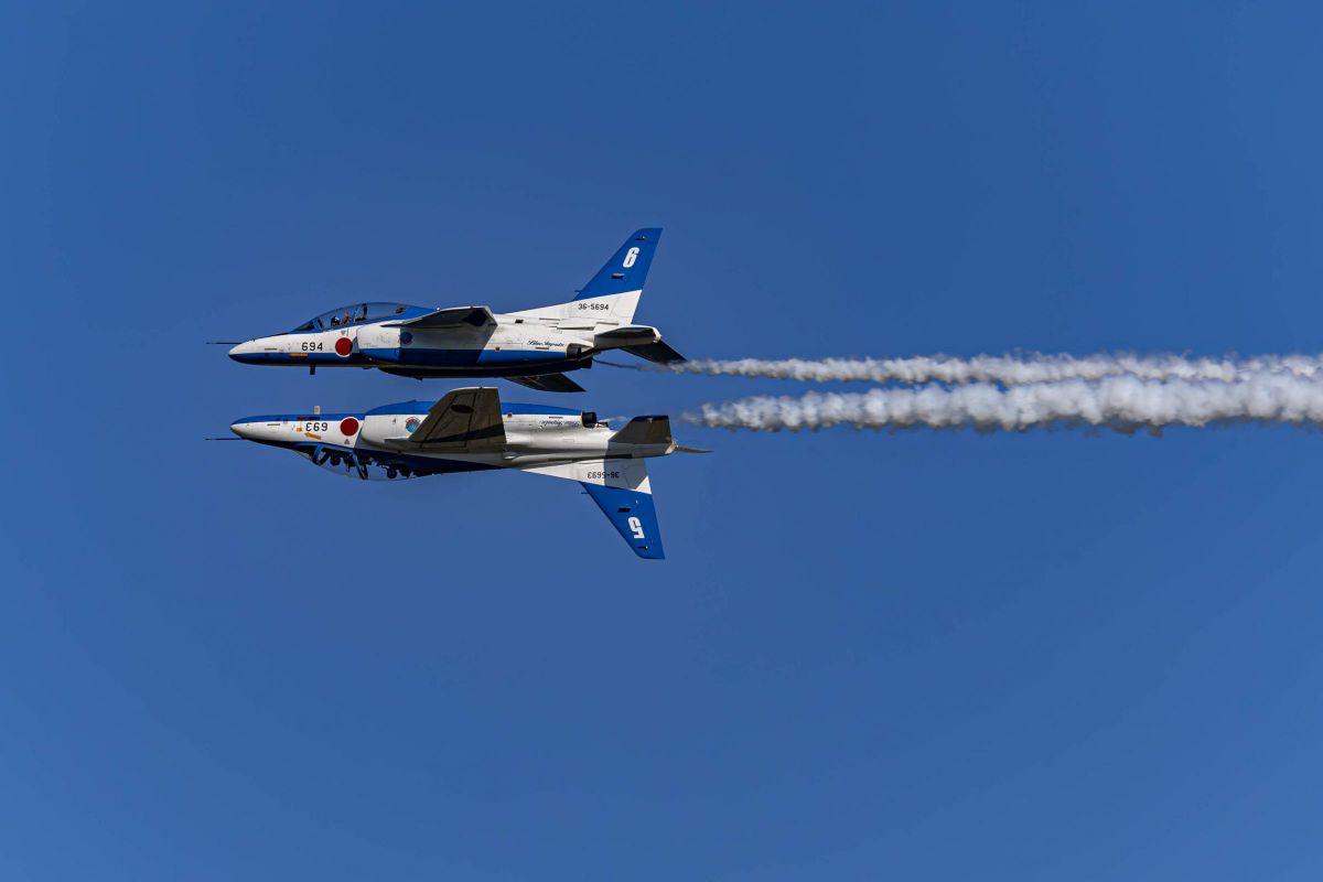 ドルフィンの腹合わせ / 「back to back」 | GANREF