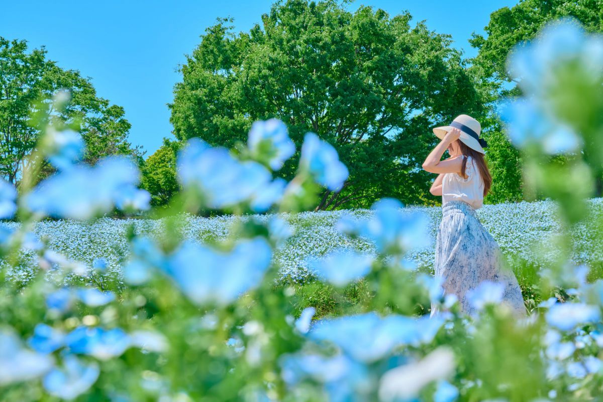 Feel the wind | GANREF