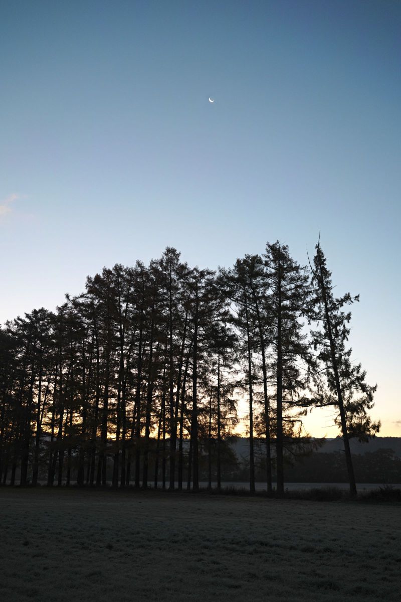 朝、三日月 | GANREF