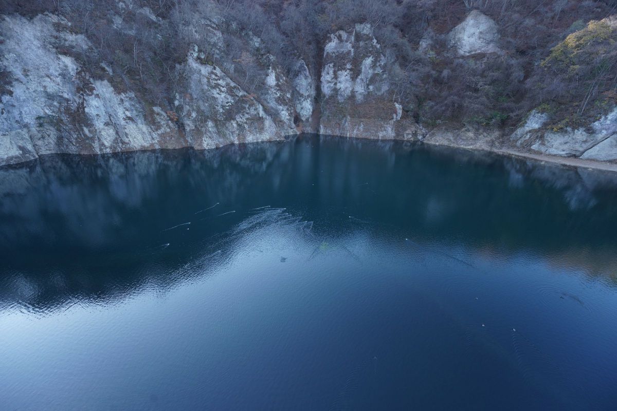 烏合の衆（鴨です） | GANREF