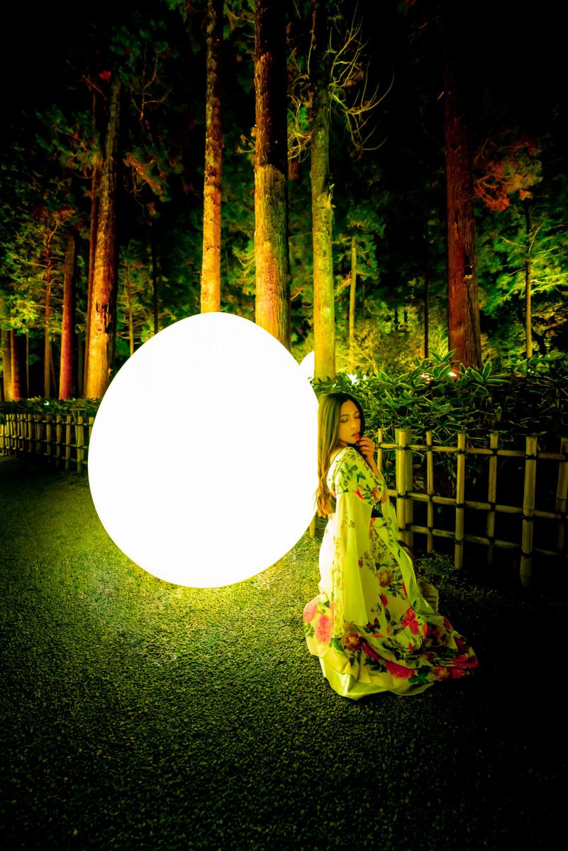 Shining egg | GANREF