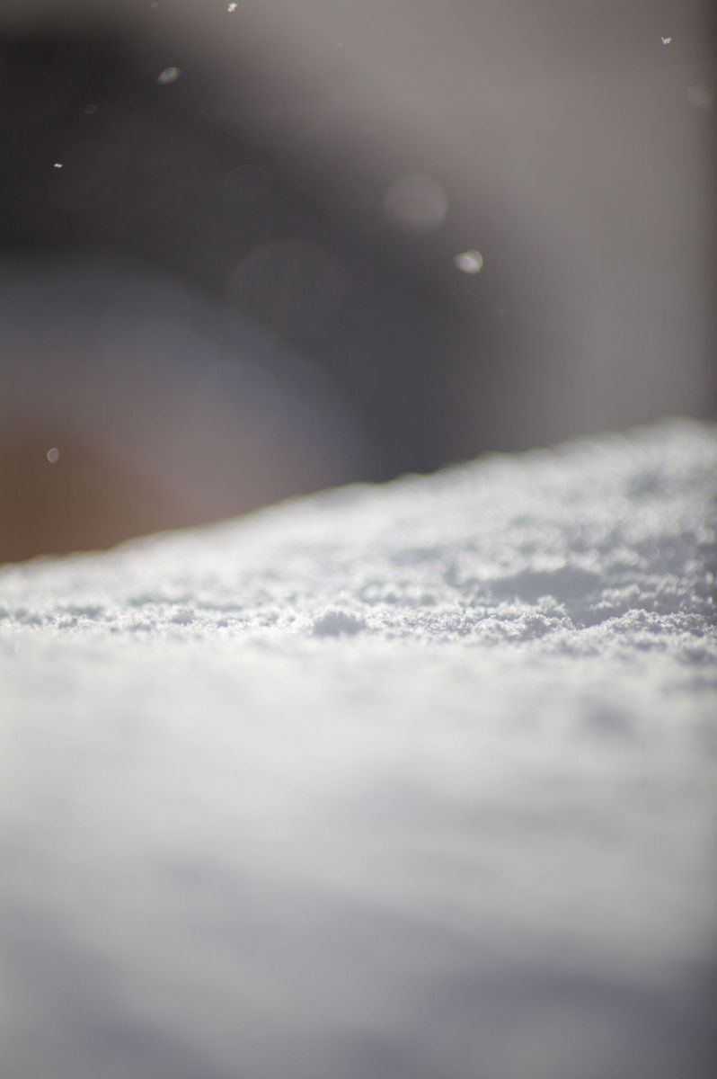 IMG_4398.jpg | GANREF