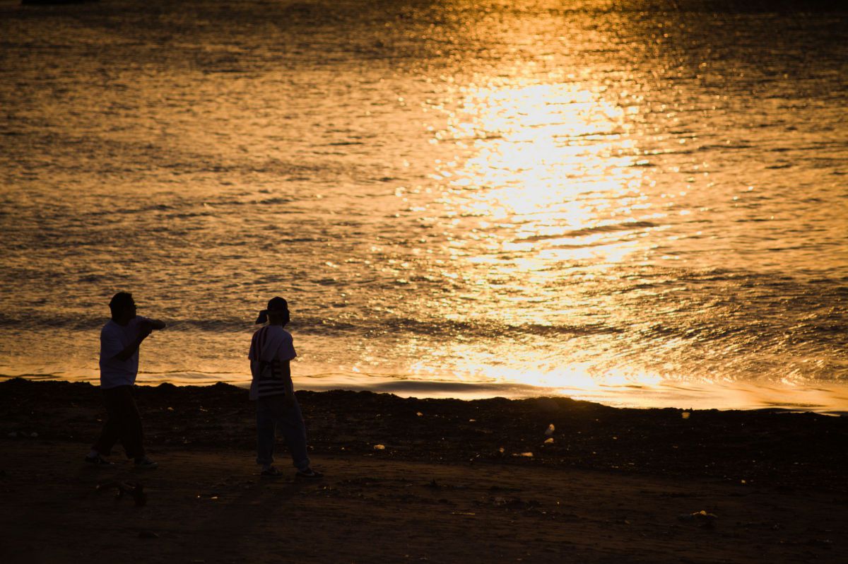 IMG_4586.jpg | GANREF