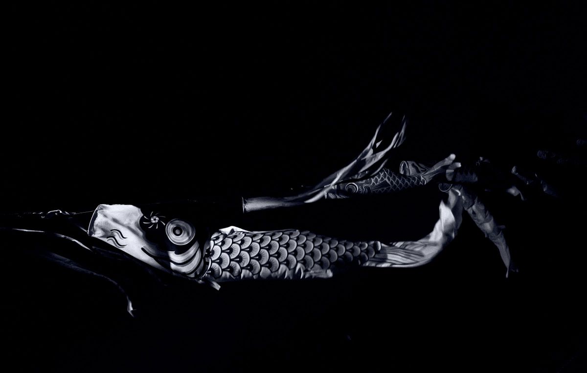 KOINOBORI_2023 | GANREF