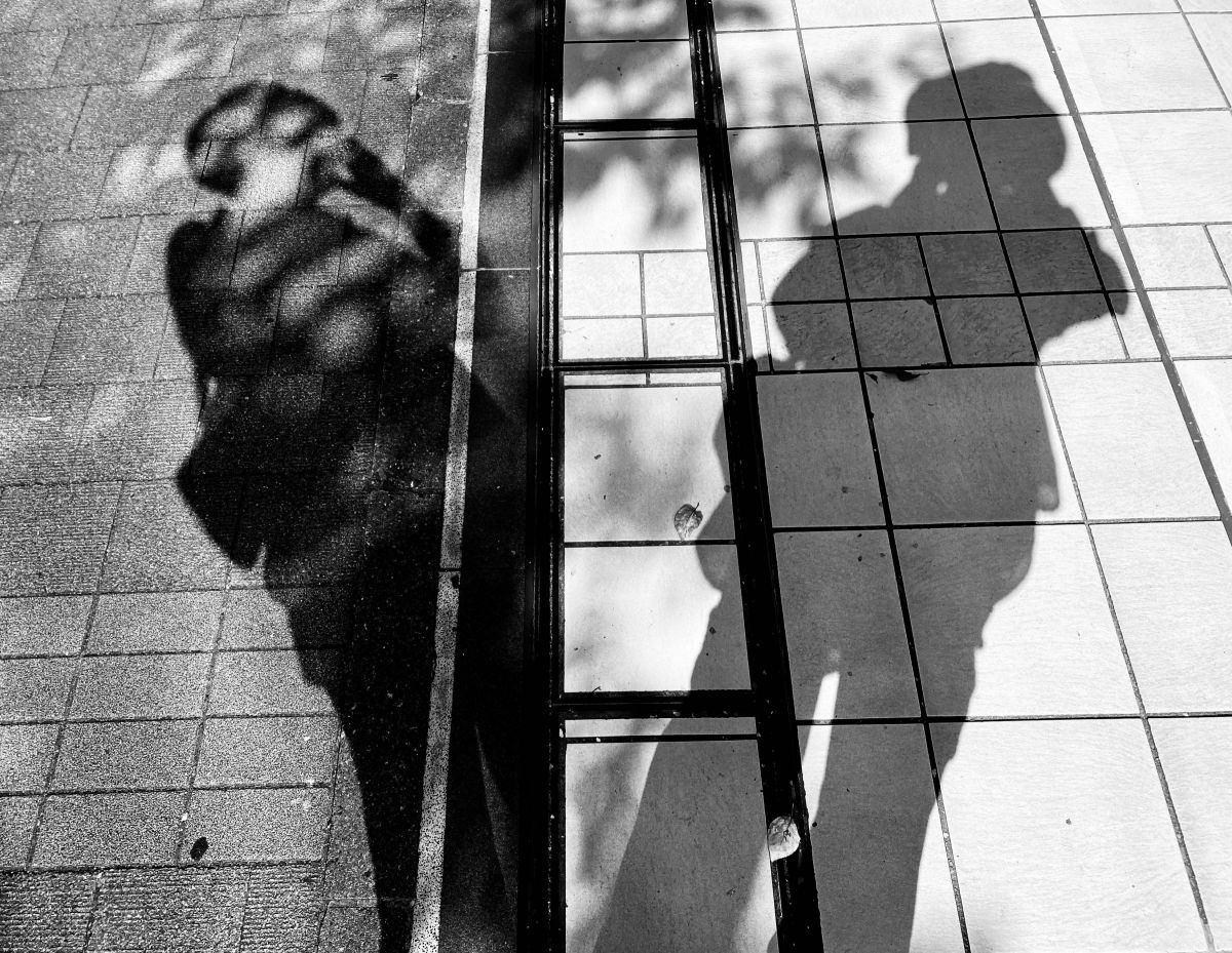 DOUBLE SHADOWS | GANREF