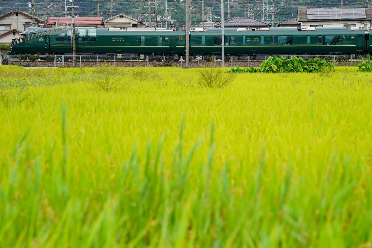 初秋を駆け抜ける | GANREF