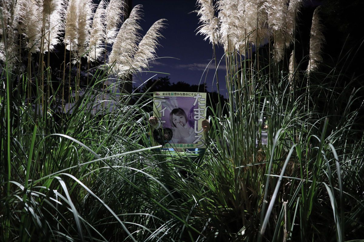 silver grass 2222 | GANREF