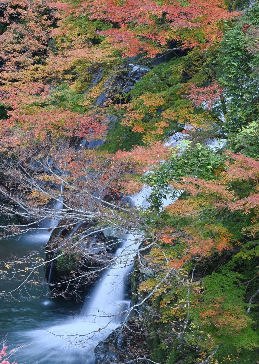 大轟の滝 | GANREF