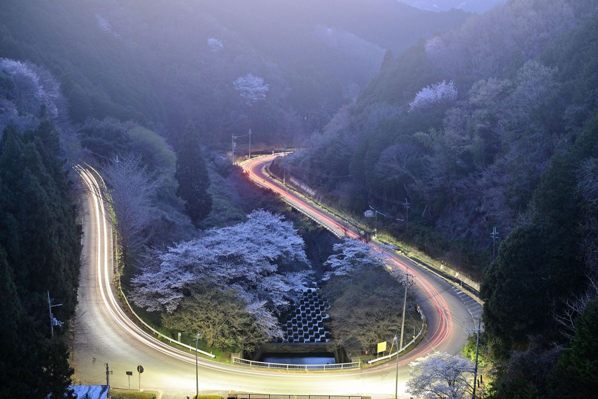 Cherry Road | GANREF