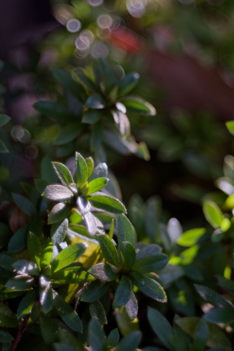 Light that pours down. | GANREF