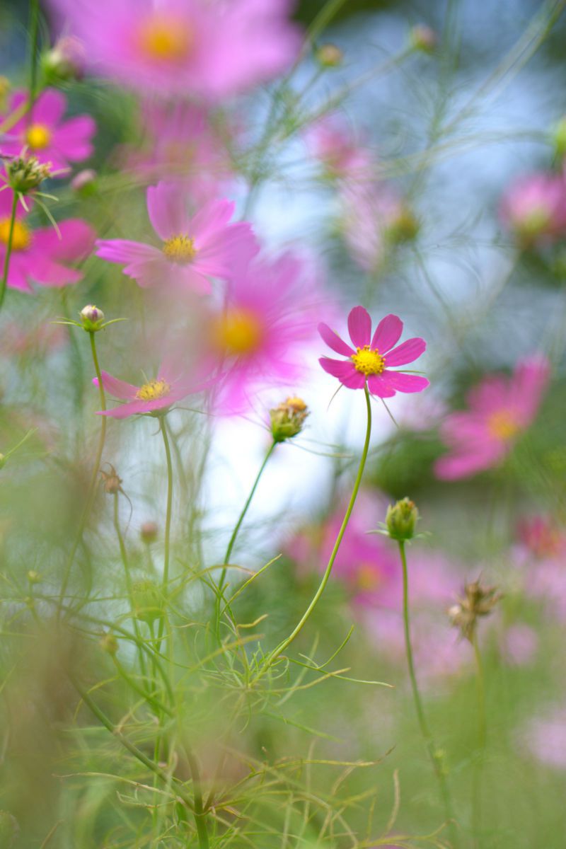 Give me a high-five! | GANREF