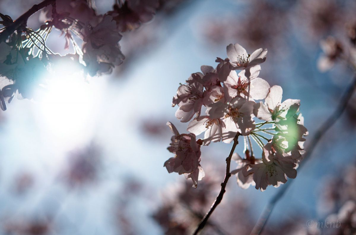 Spring vibes. | GANREF