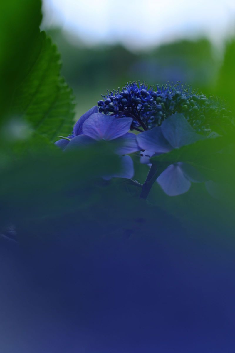 Thinking/Sinking in blue. | GANREF