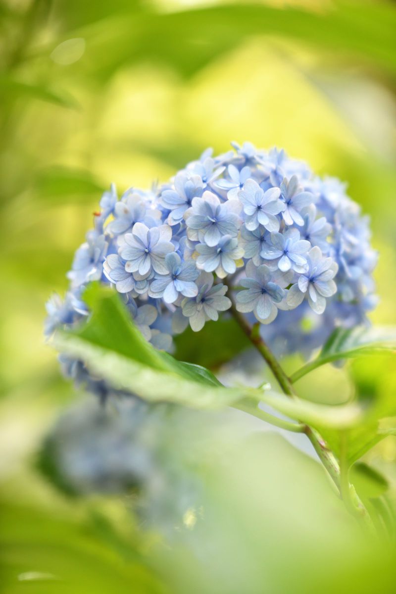 Time to say goodbye. | GANREF