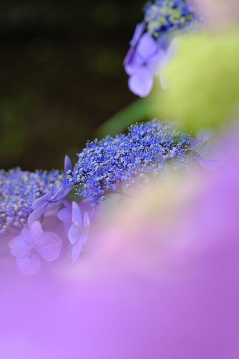 cocktail-party effect | GANREF