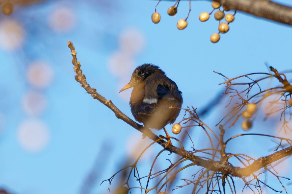 Days that feel like winter's passing by. | GANREF