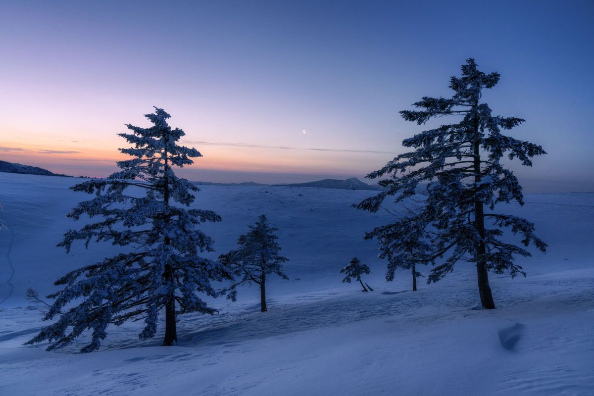 Breaking Dawn | GANREF