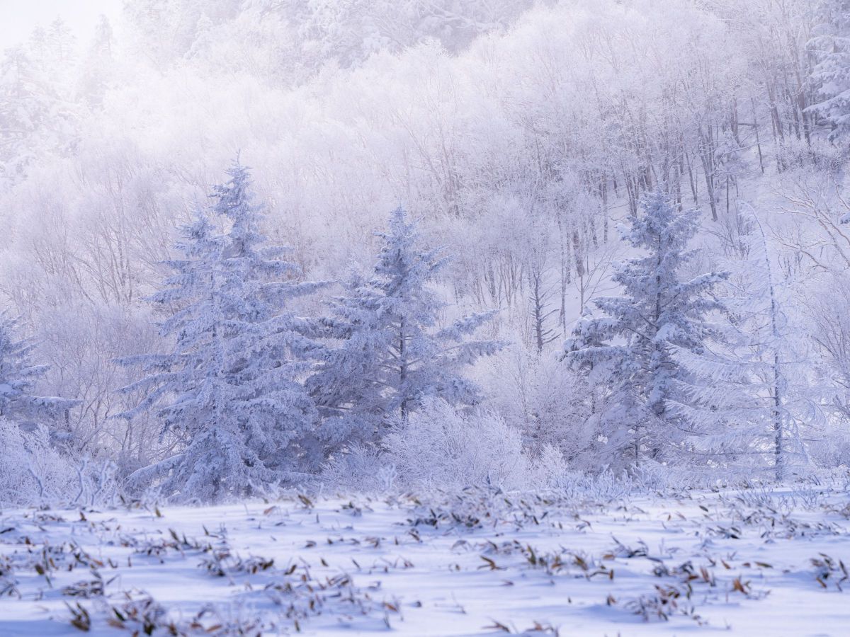 Frozen Plateau | GANREF