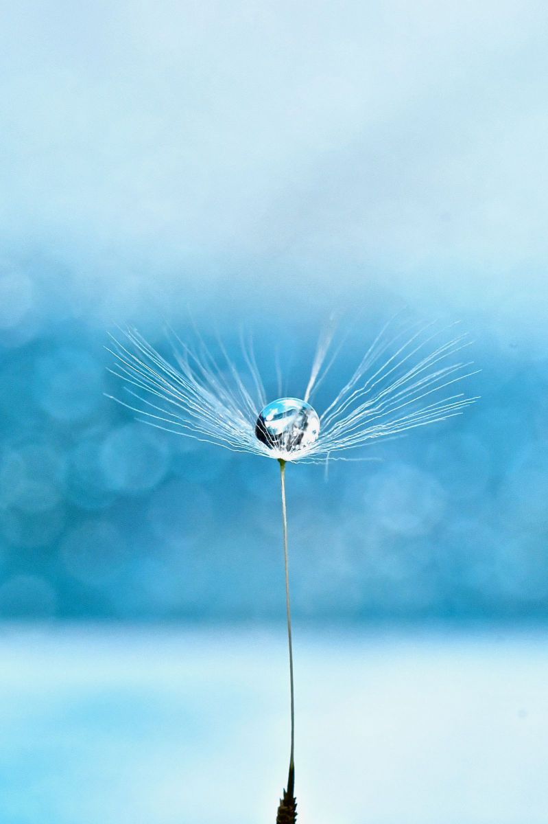 sweet memories | GANREF