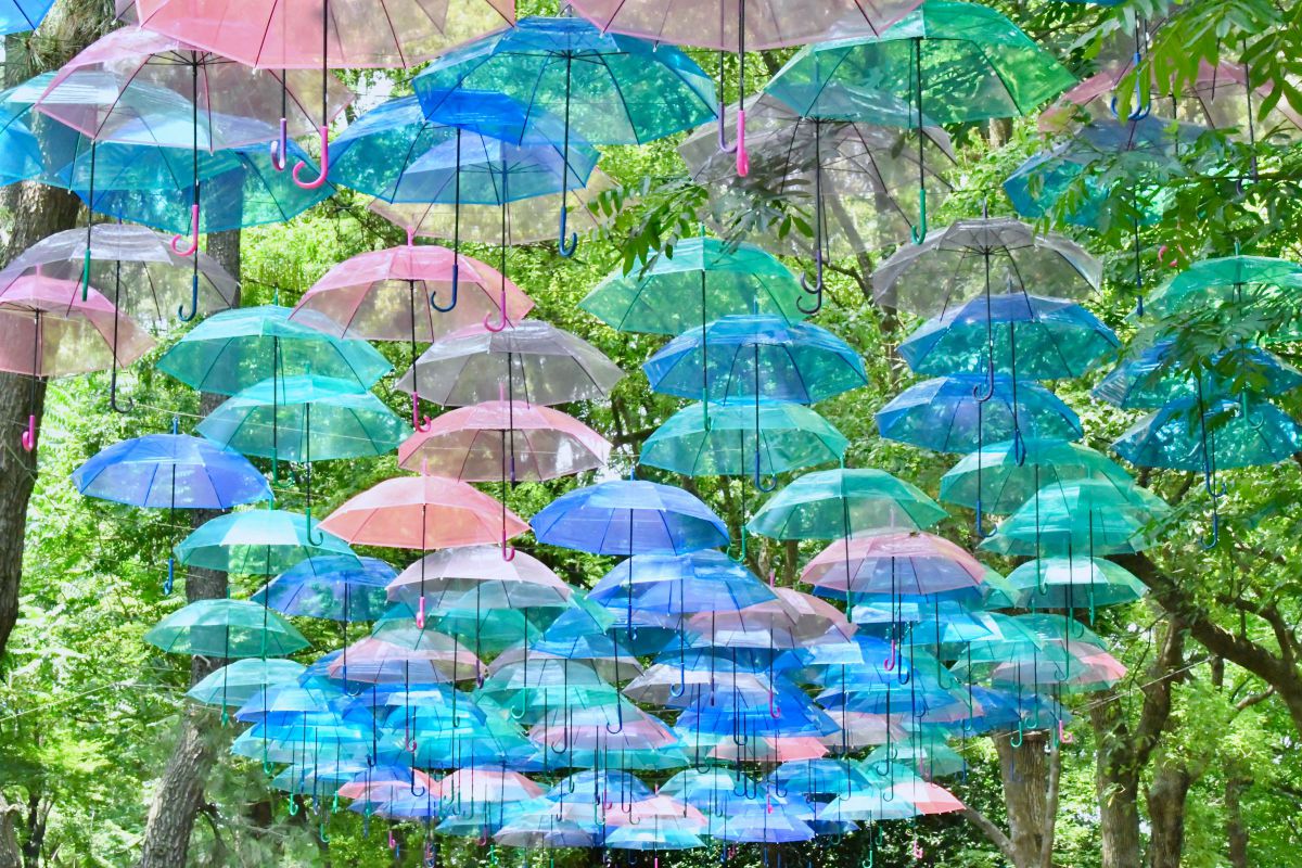 Colorful Forest | GANREF