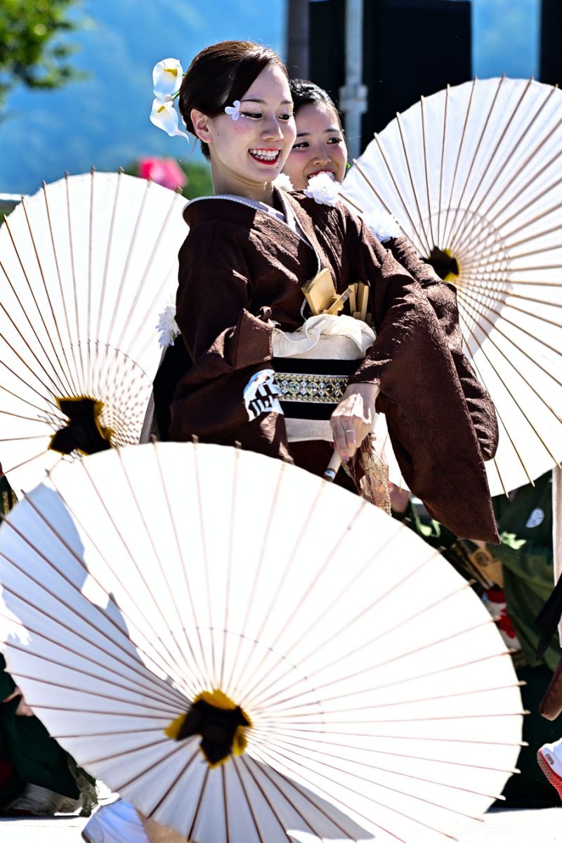 NZ8_0731_2025_09_06_7224_01.JPG | GANREF