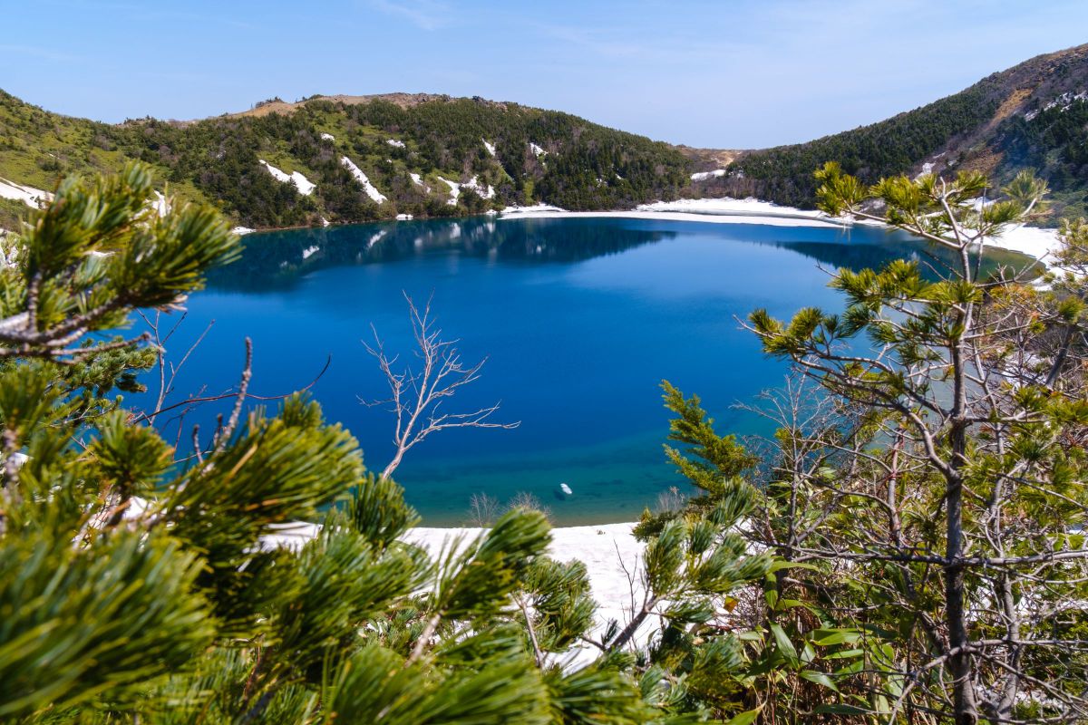 魔女の瞳 | GANREF