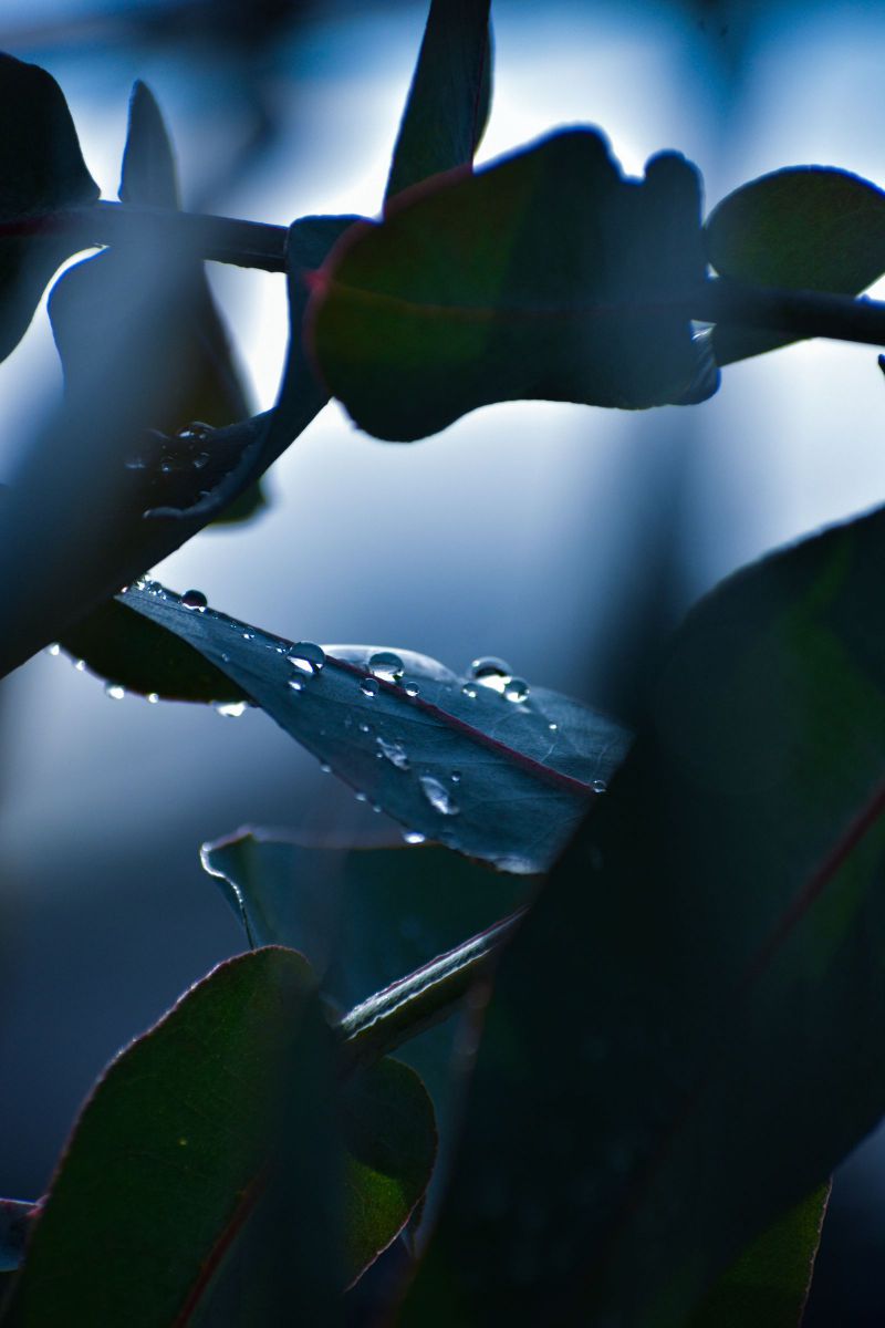 青の世界 | GANREF