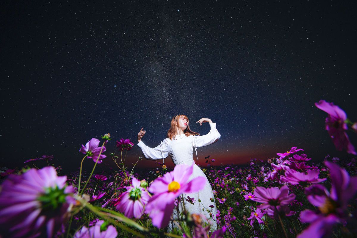 COSMOSの中心で | GANREF