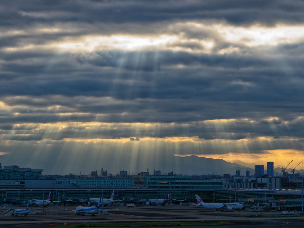 Shower of Light | GANREF