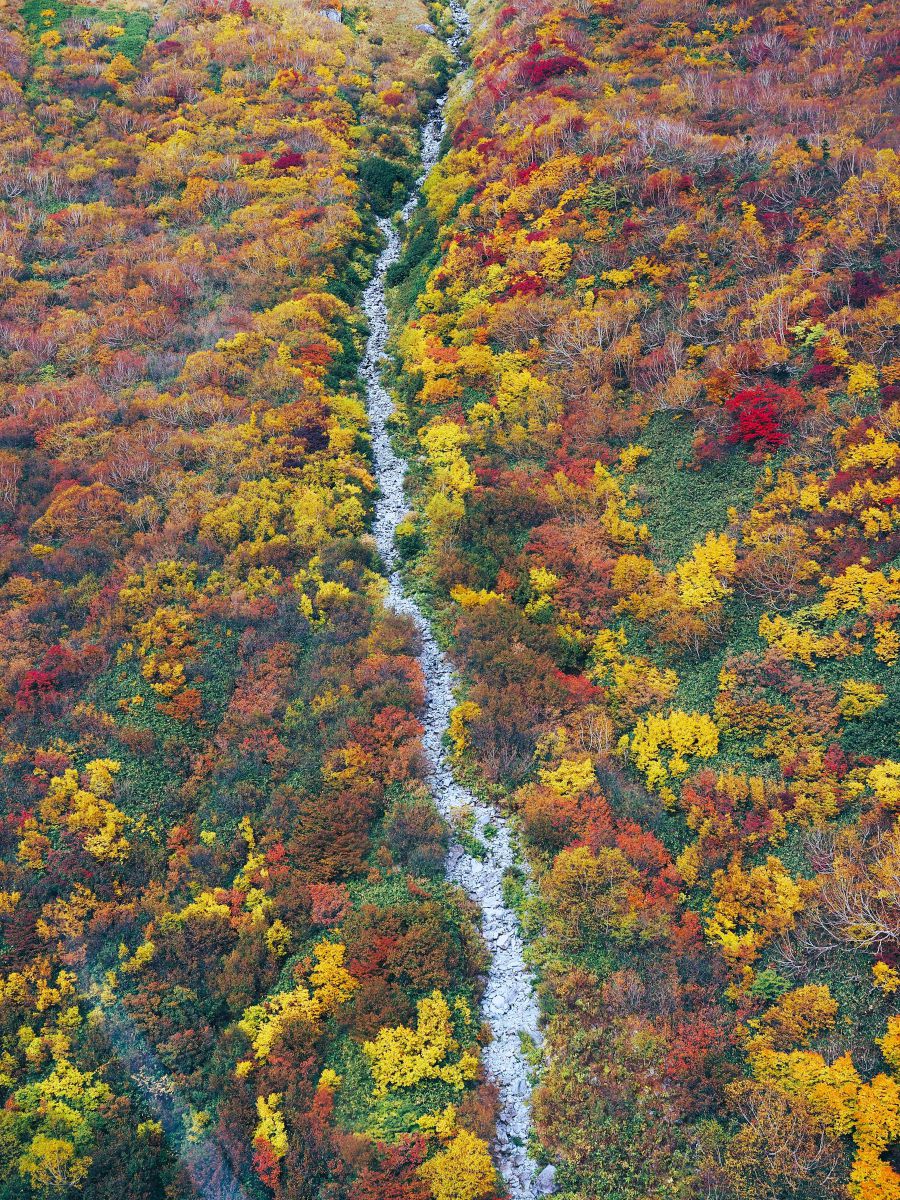 Autumn Trail | GANREF