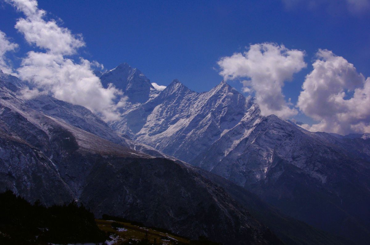 Kusum Kanguru | GANREF