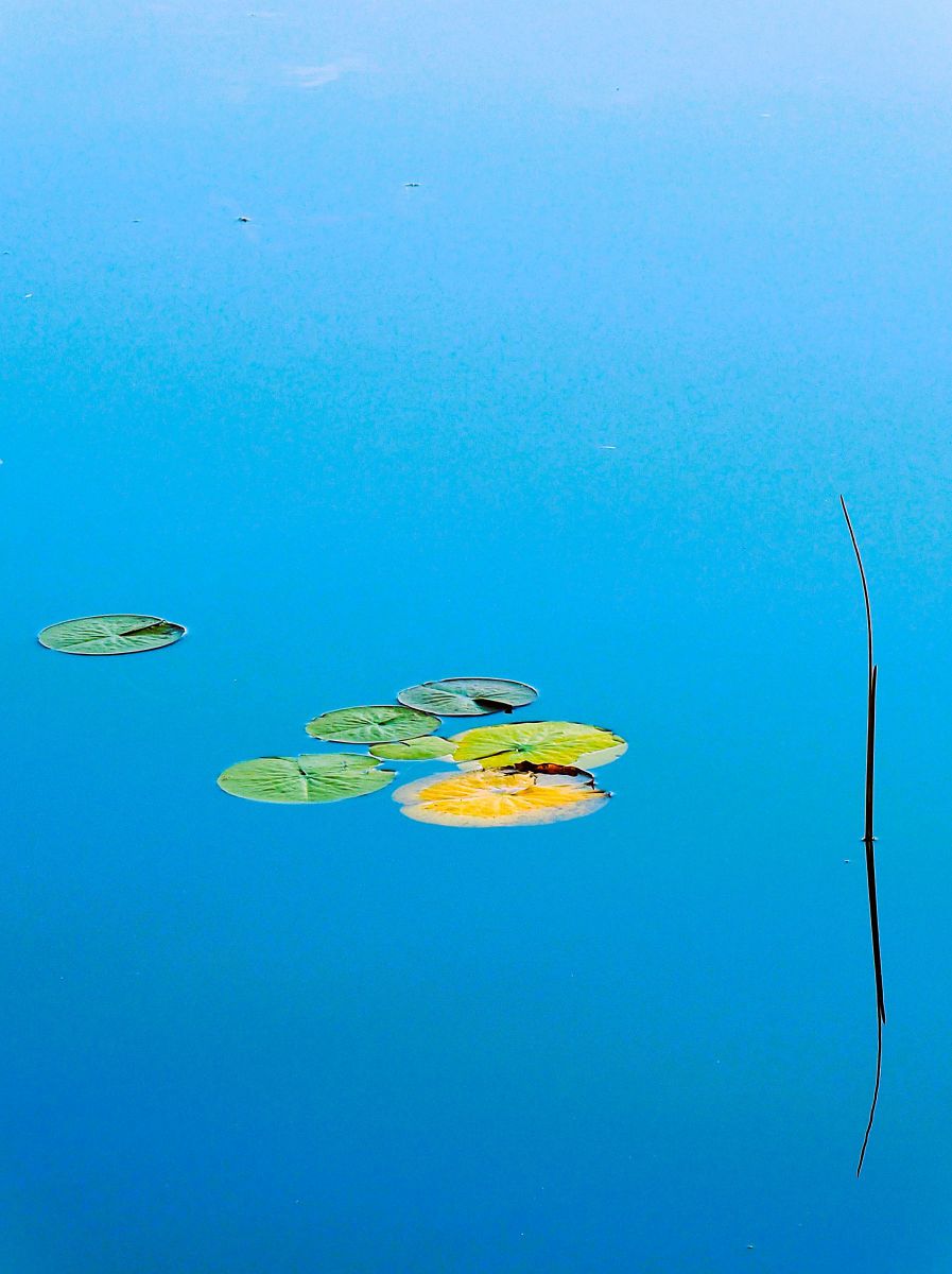 zero gravity | GANREF