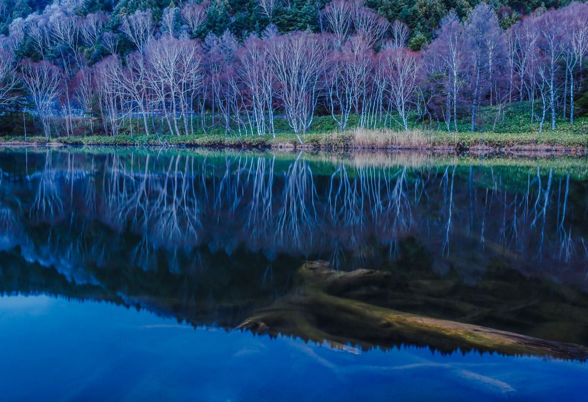 Time goes on | GANREF