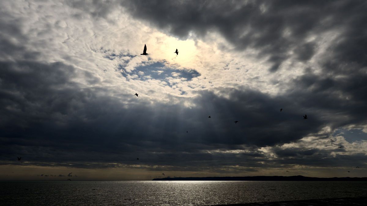 angel's ladder | GANREF