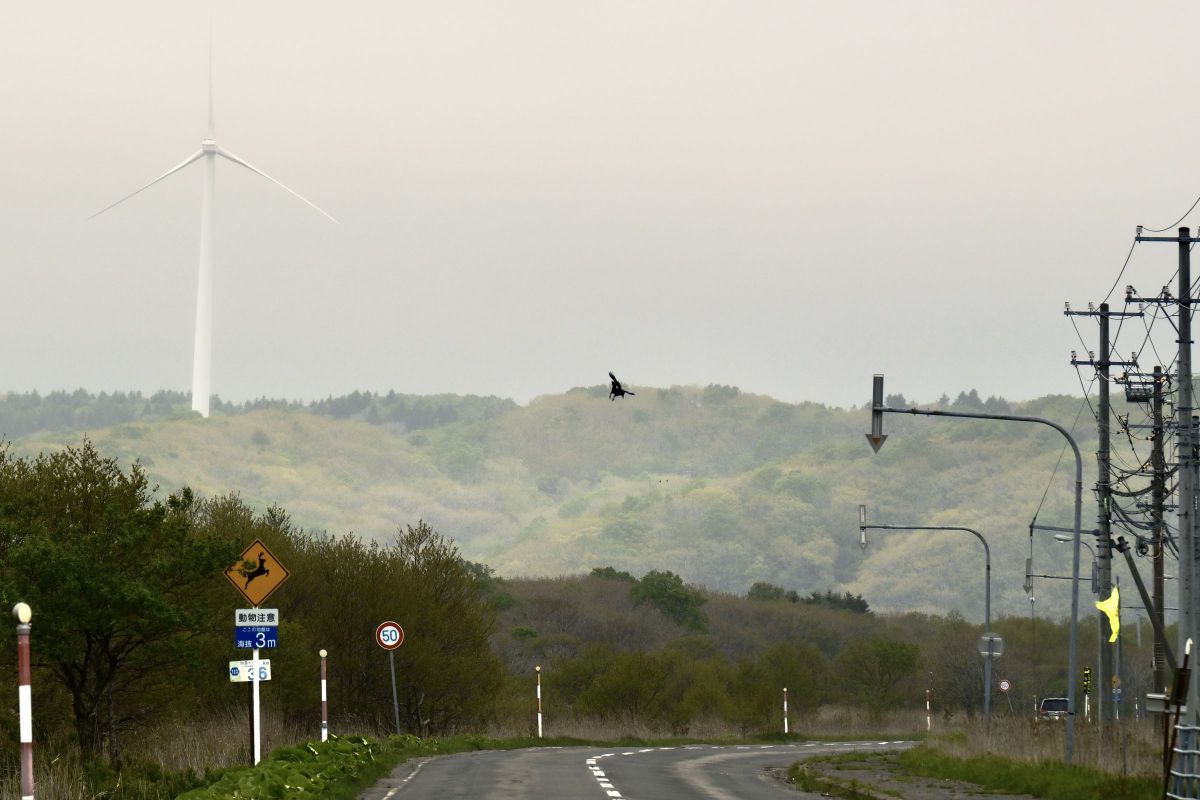 The Temptation of Sleep | GANREF