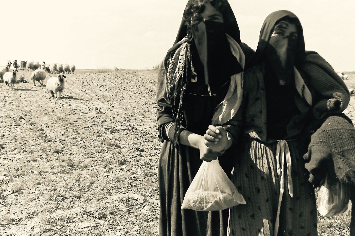 desert portrait | GANREF