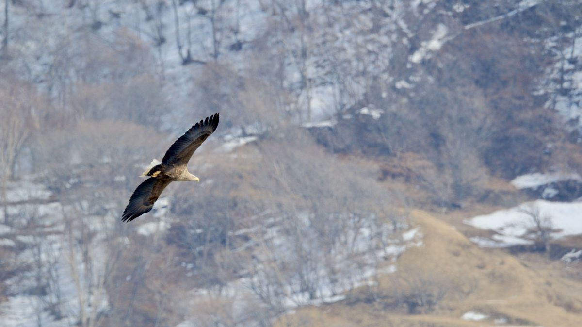 Feel the spring air | GANREF