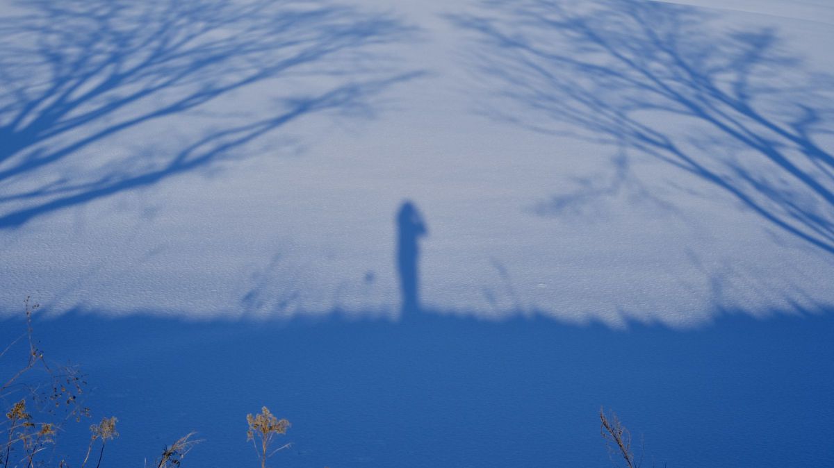 In the winter light | GANREF