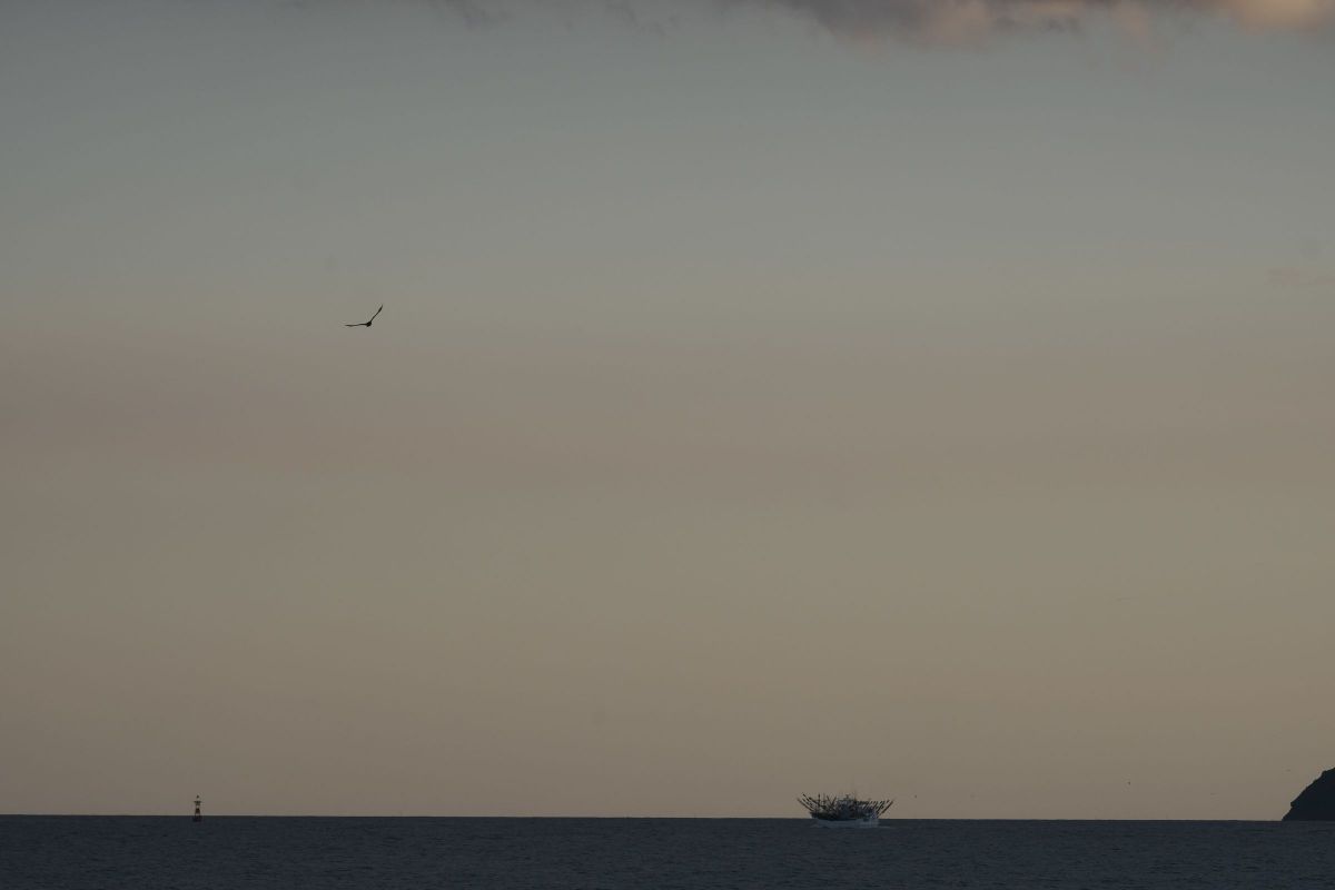 in to the Pacific Ocean | GANREF