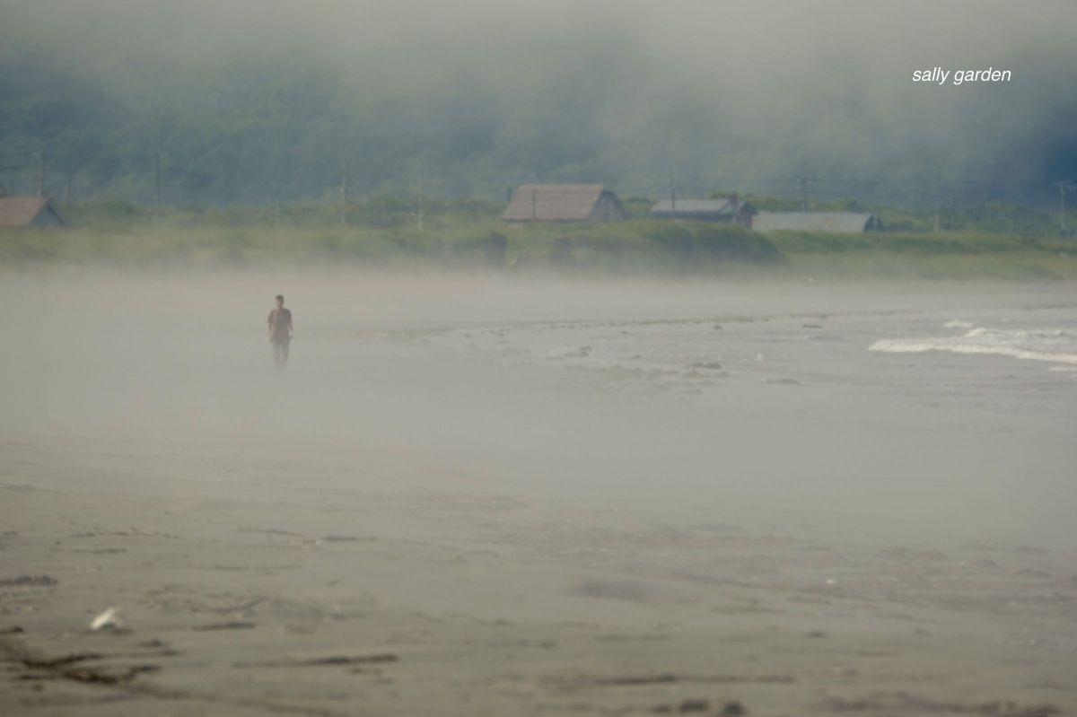 Memories of a summer day | GANREF