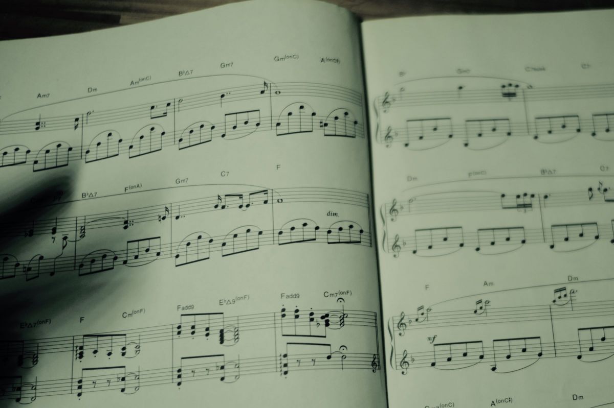 put your hands up | GANREF