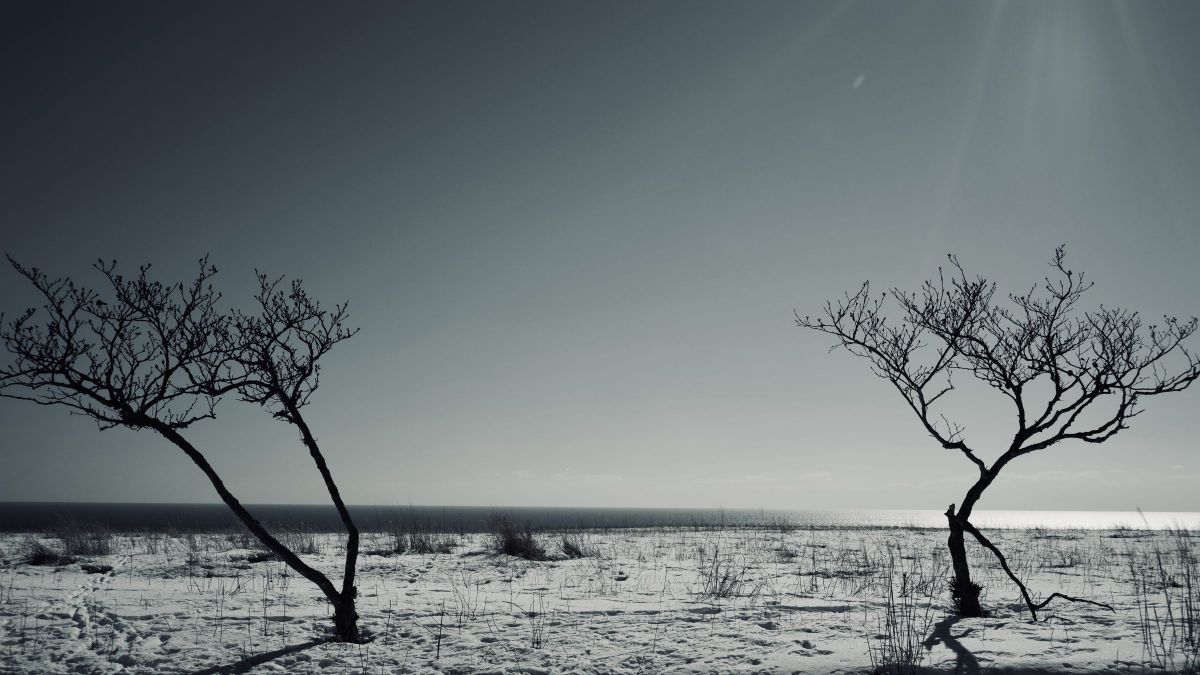 Silent chatter | GANREF