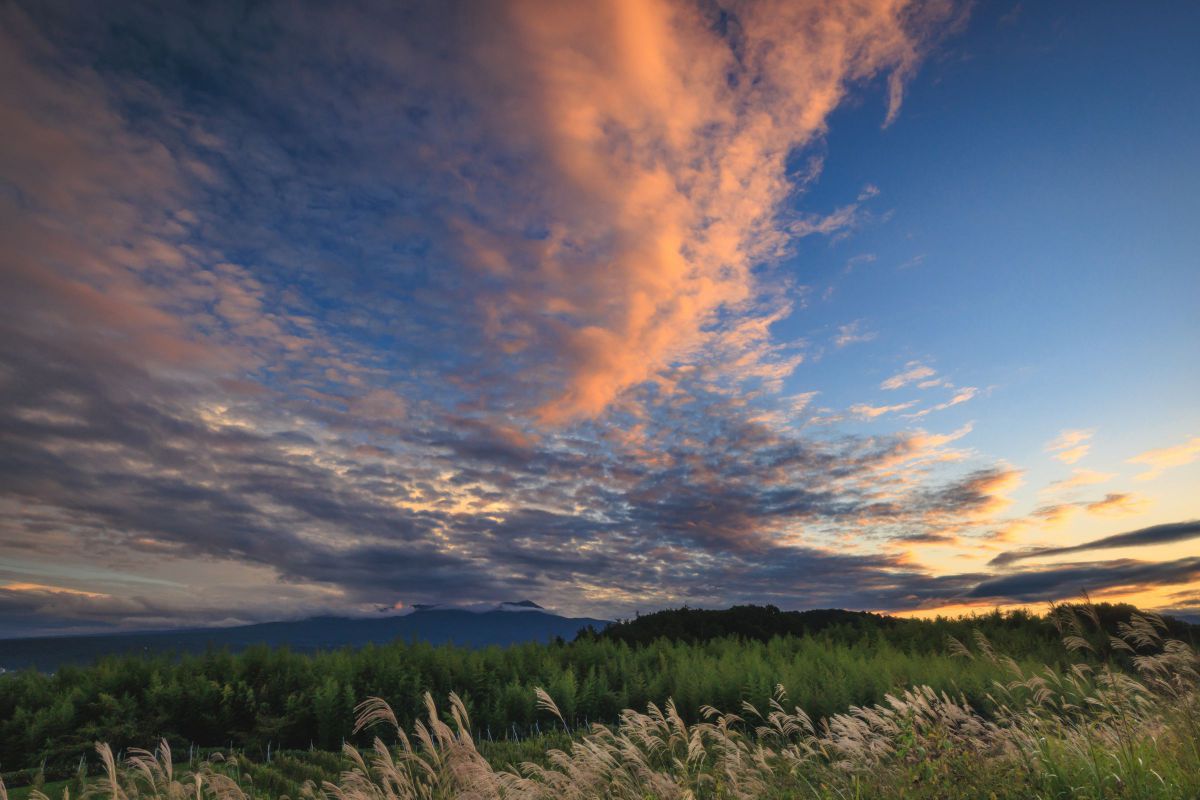 秋の夕暮れ | GANREF